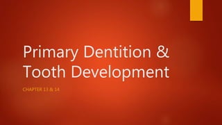 Primary Dentition and Tooth Development | PPTX