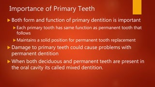 Primary Dentition and Tooth Development | PPTX