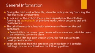 Primary Dentition and Tooth Development | PPTX