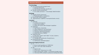 Neuroimaging in Traumatic Brain Injury: Primary effects of CNS Trauma ...