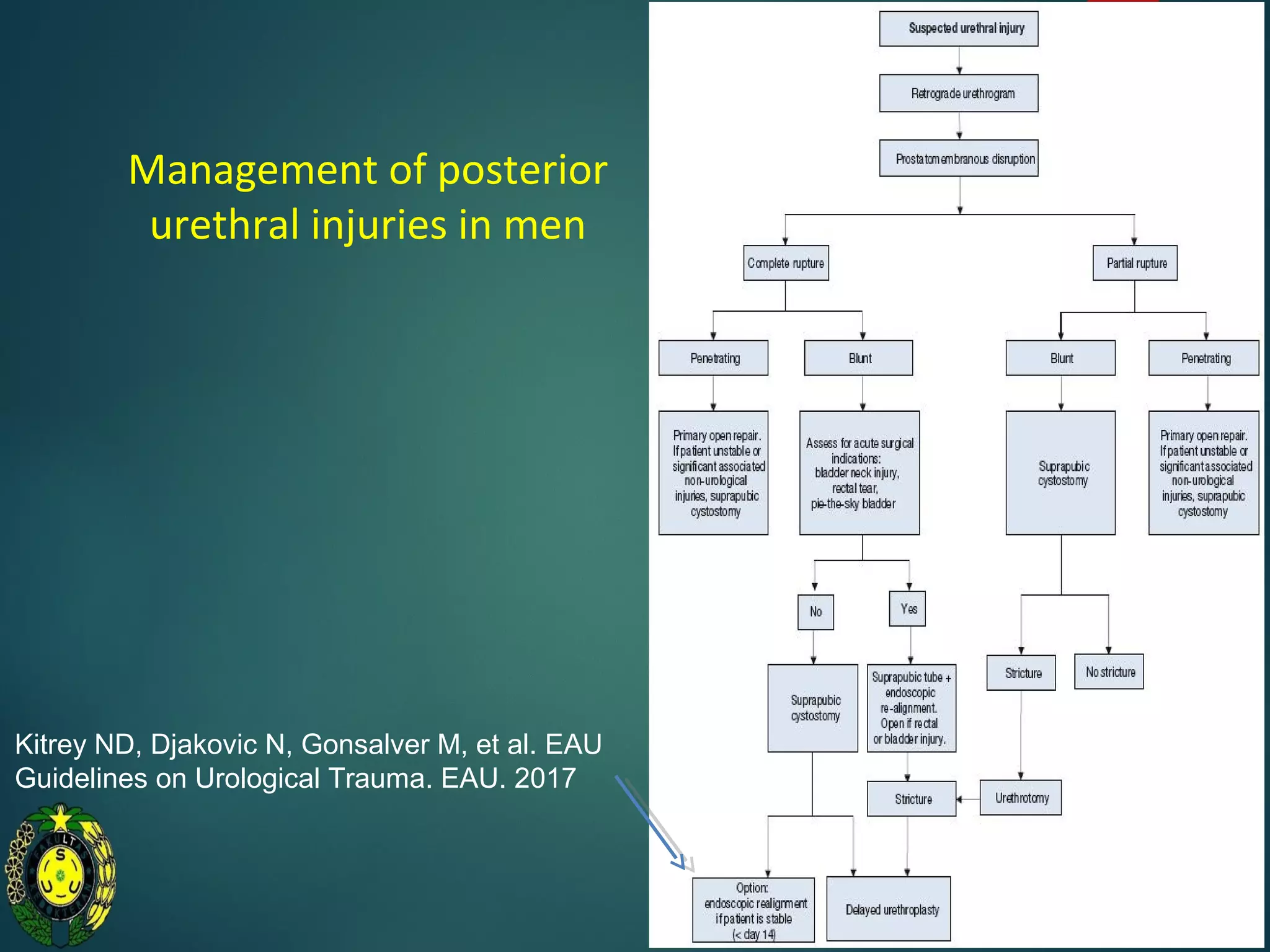 Primary endoscopic realignment | PPT