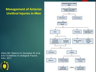 Primary endoscopic realignment | PPT