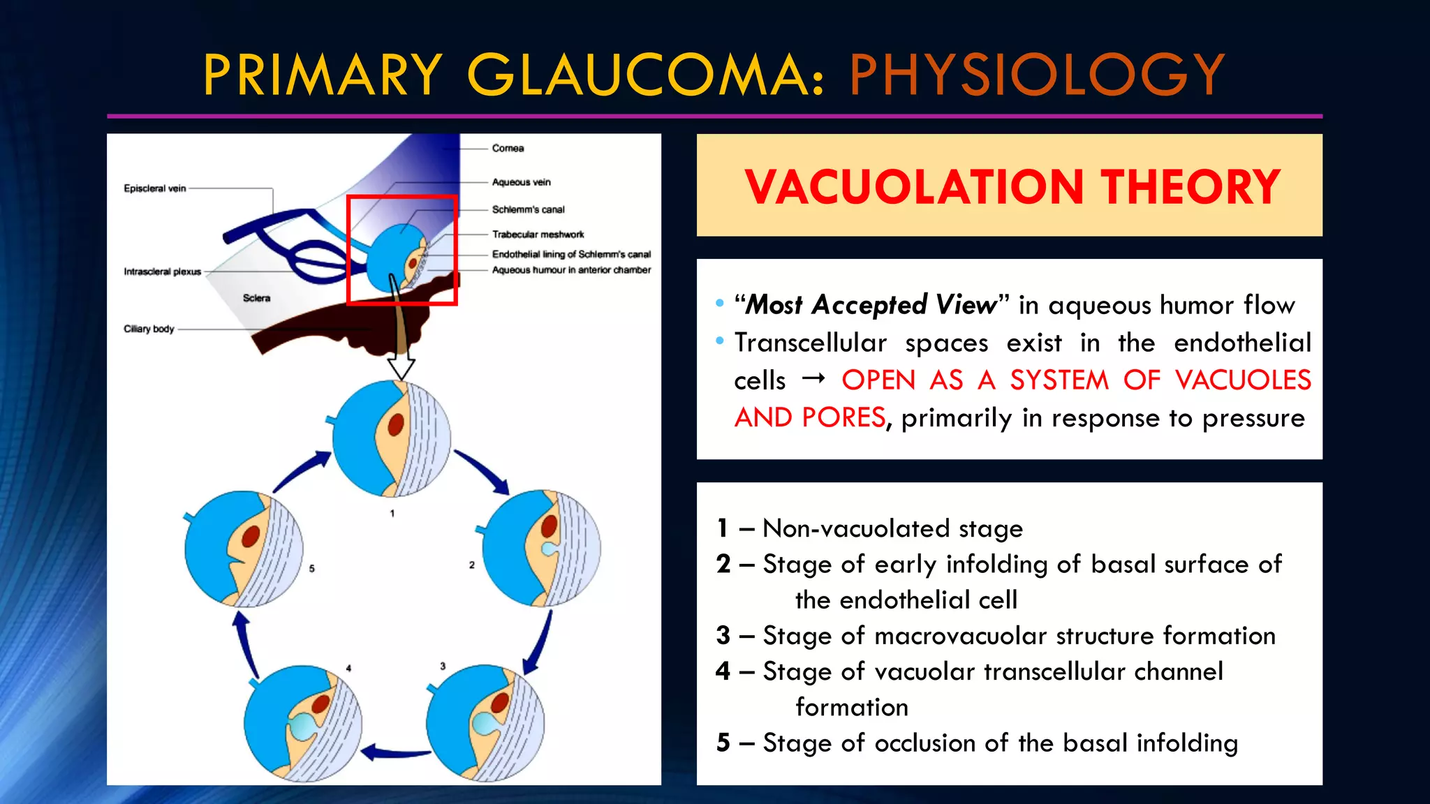 Primary Glaucoma | PDF