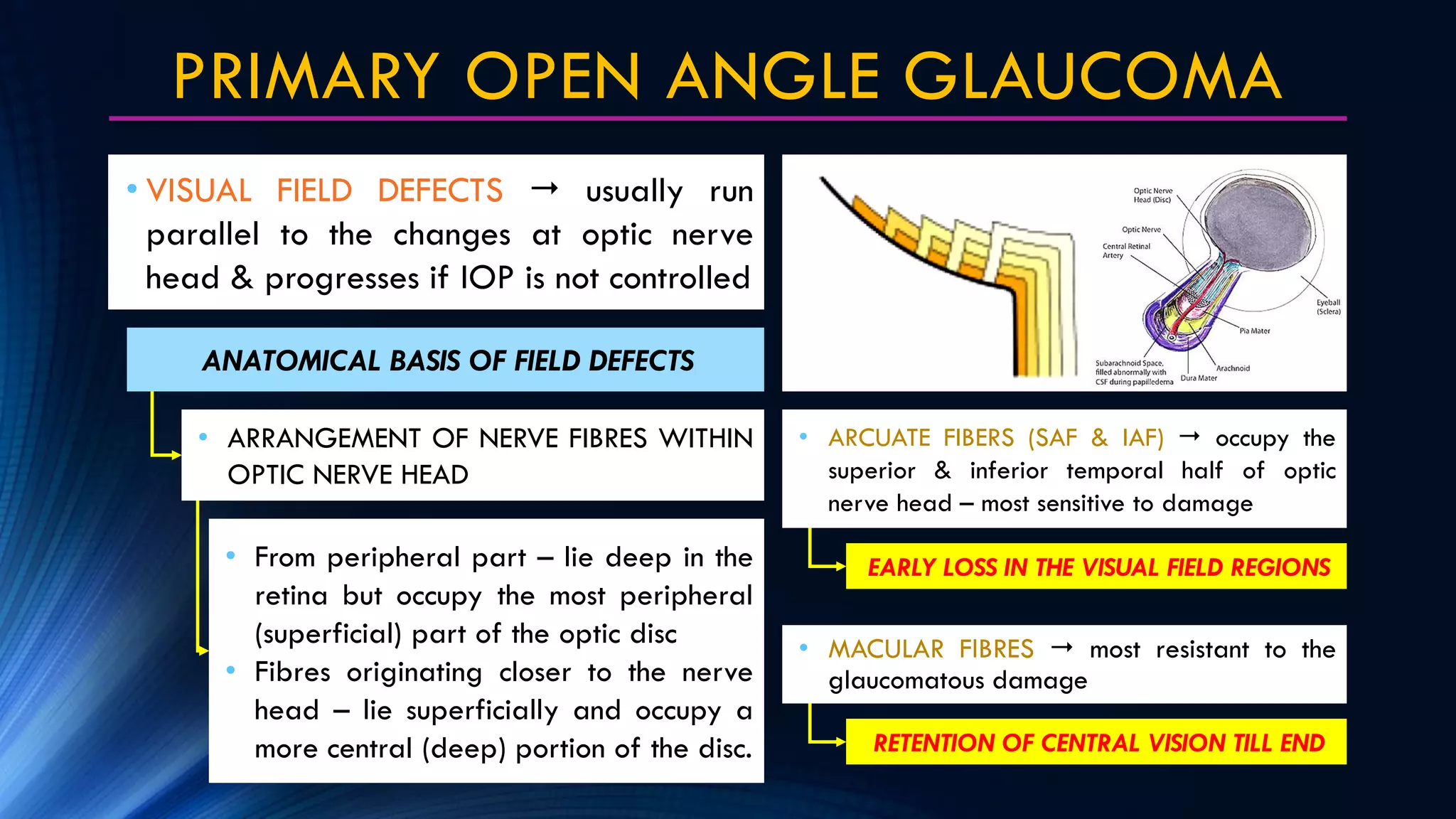 Primary Glaucoma | PDF