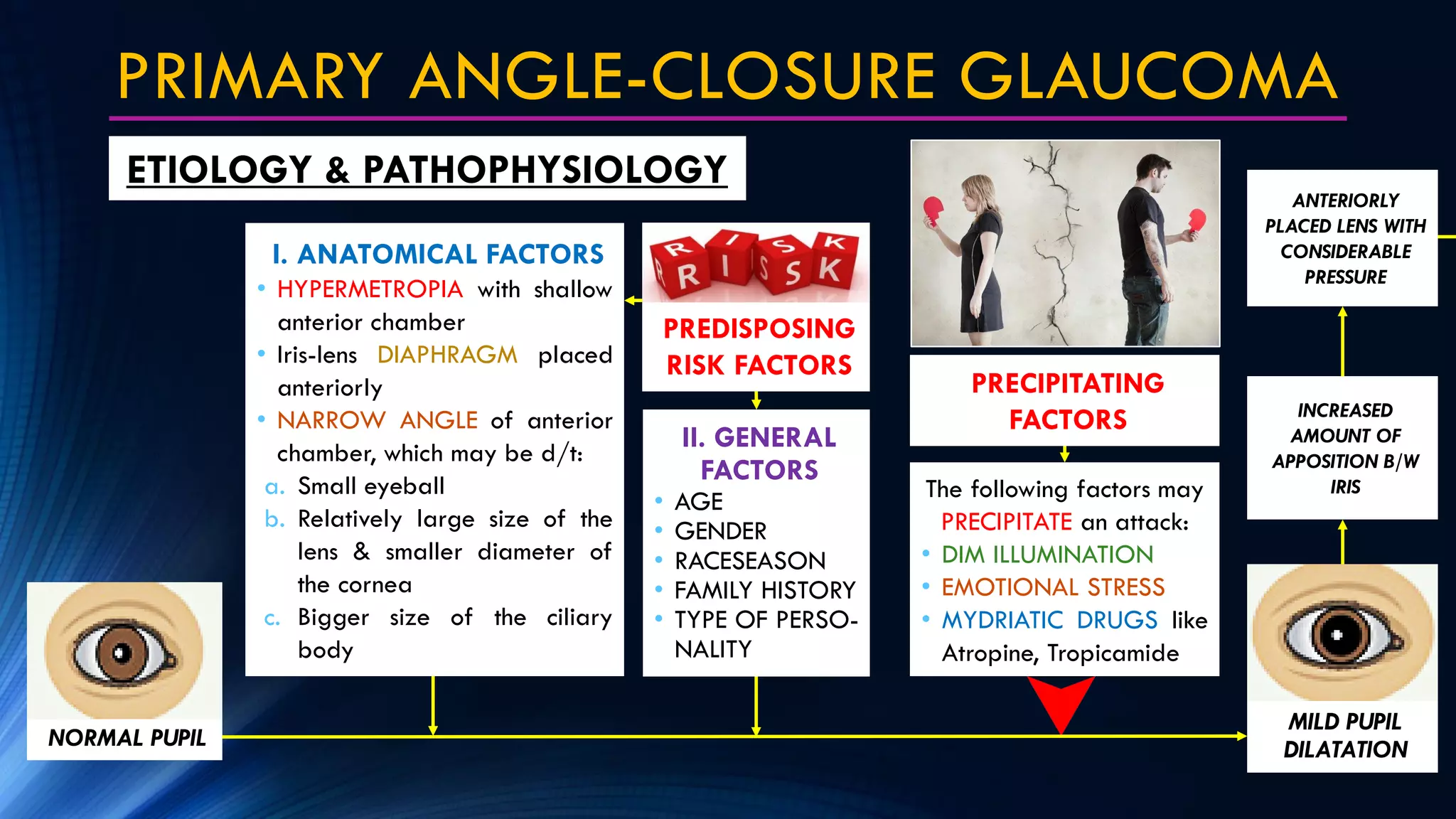 Primary Glaucoma | PDF