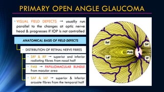 Primary Glaucoma | PDF