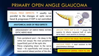 Primary Glaucoma | PDF
