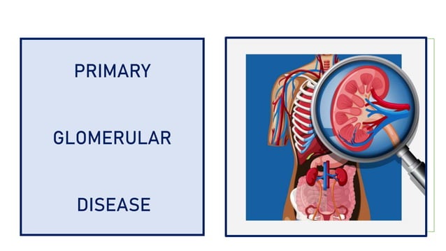 PRIMARY GLOMERULOPATHIES BY DR NANNIKA PRADHAN | PPTX | Blood Disorders | Diseases and Conditions