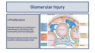 PRIMARY GLOMERULOPATHIES BY DR NANNIKA PRADHAN | PPTX