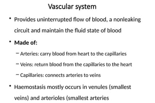 PRIMARY HAEMOSTASIS and the circulatory system. | PPTX