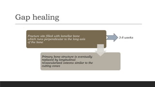 Primary Healing-5.pptx