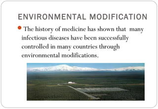 Primary health care | PPT