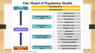 Primary Health Care | PPT