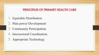 PRIMARY HEALTH CARE | PPTX | Health Insurance | Insurance