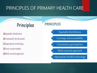 Primary health care | PPTX
