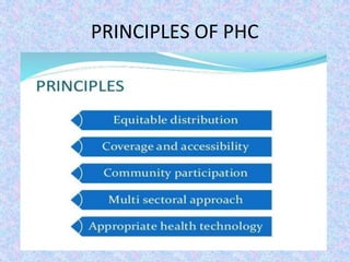 Primary health care .pdf