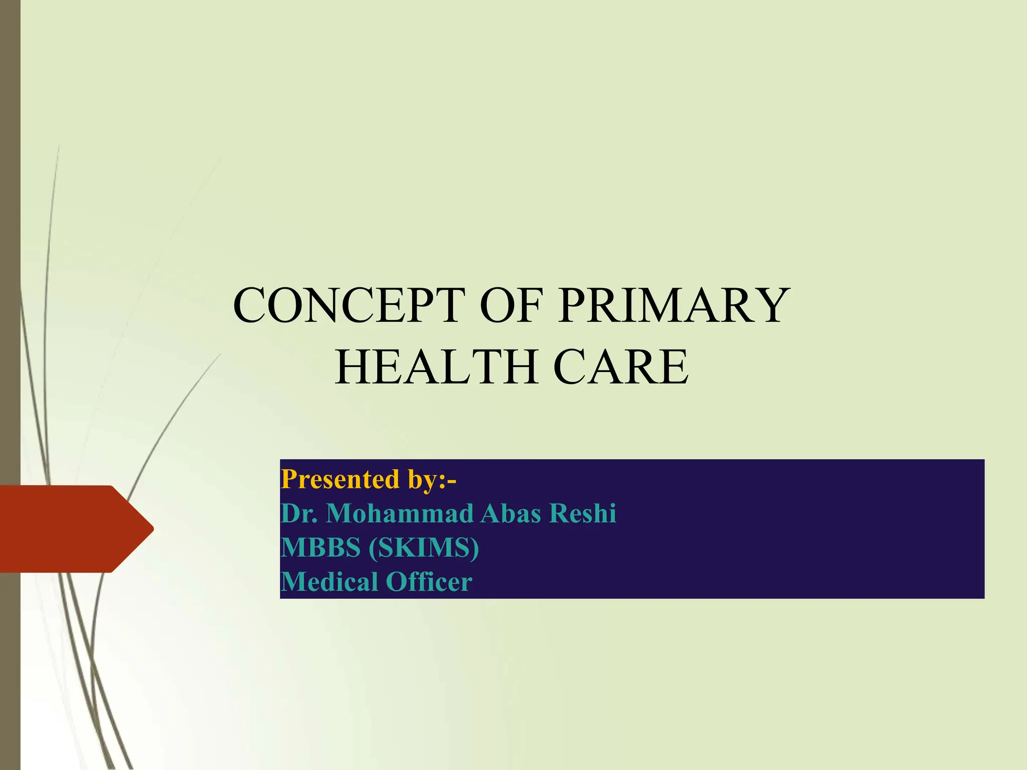 primary health care (1).pptx