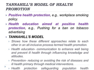 Primary health care and health promotion | PPTX