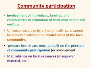 Primary health care concept | PPTX