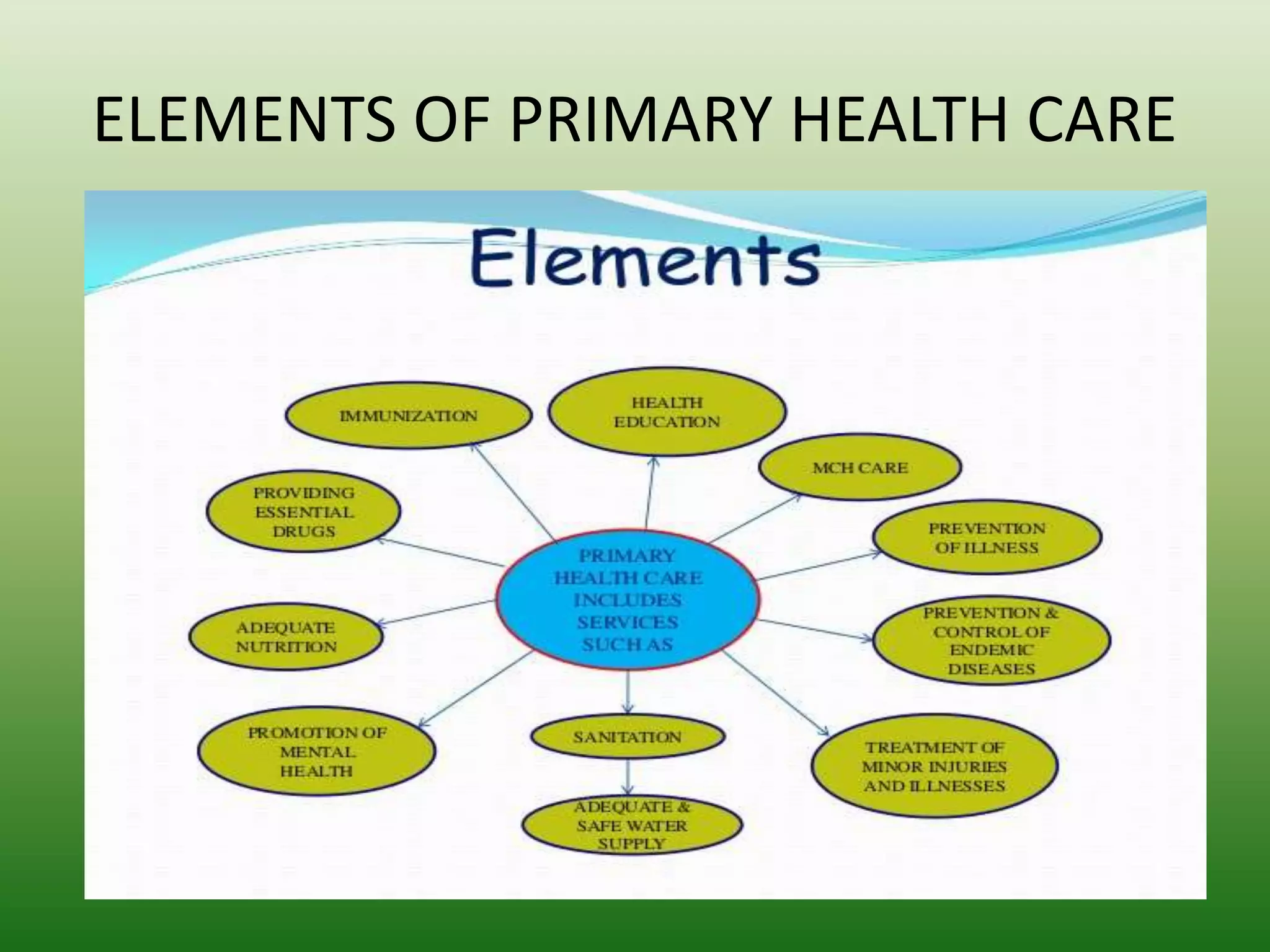 Primary health care slide share | PPTX