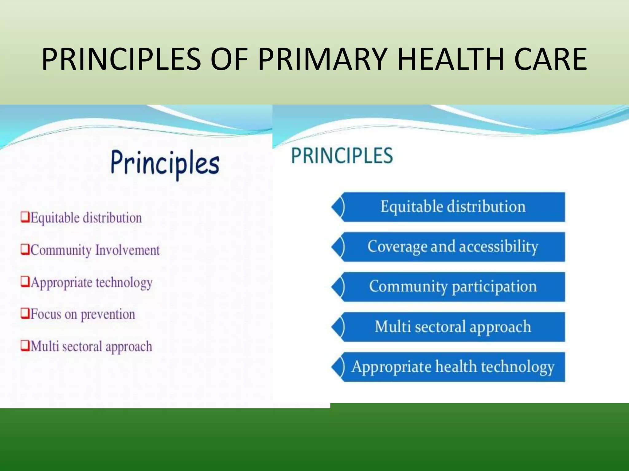 Primary health care slide share | PPTX
