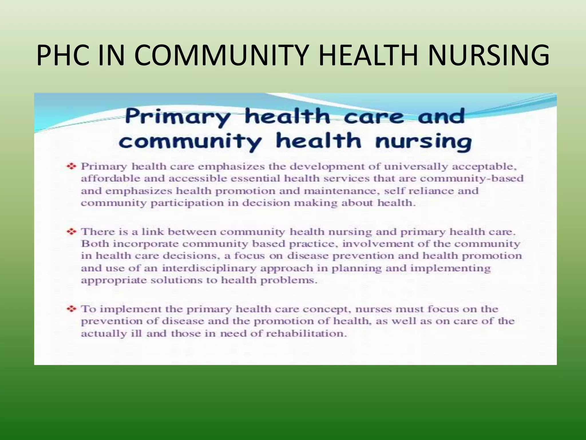 Primary health care slide share | PPTX