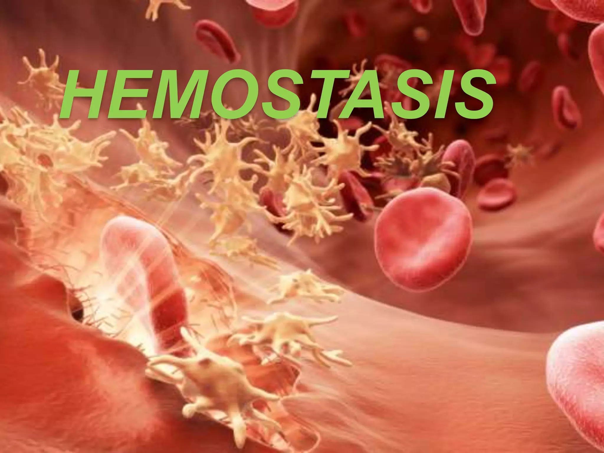 Primary hemostasis | PPTX