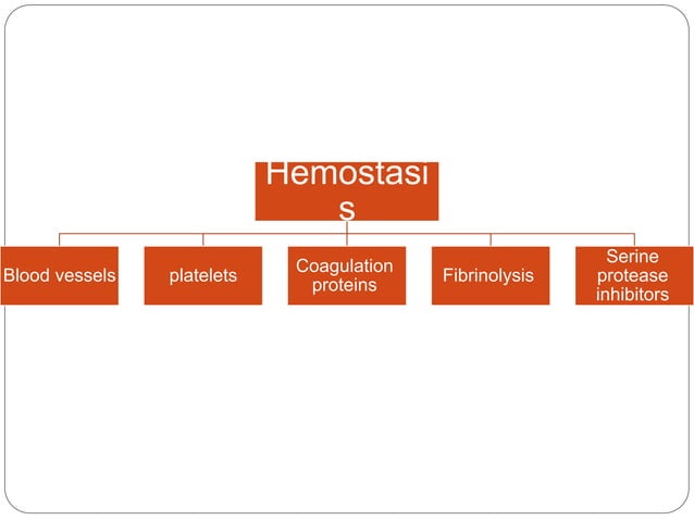 Primary hemostasis.ppt