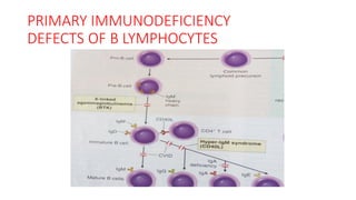 PRIMARY IMMUNE DEFICIENCY DISEASES | PDF
