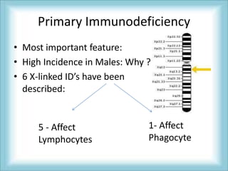 Primary immune dificiency | PDF
