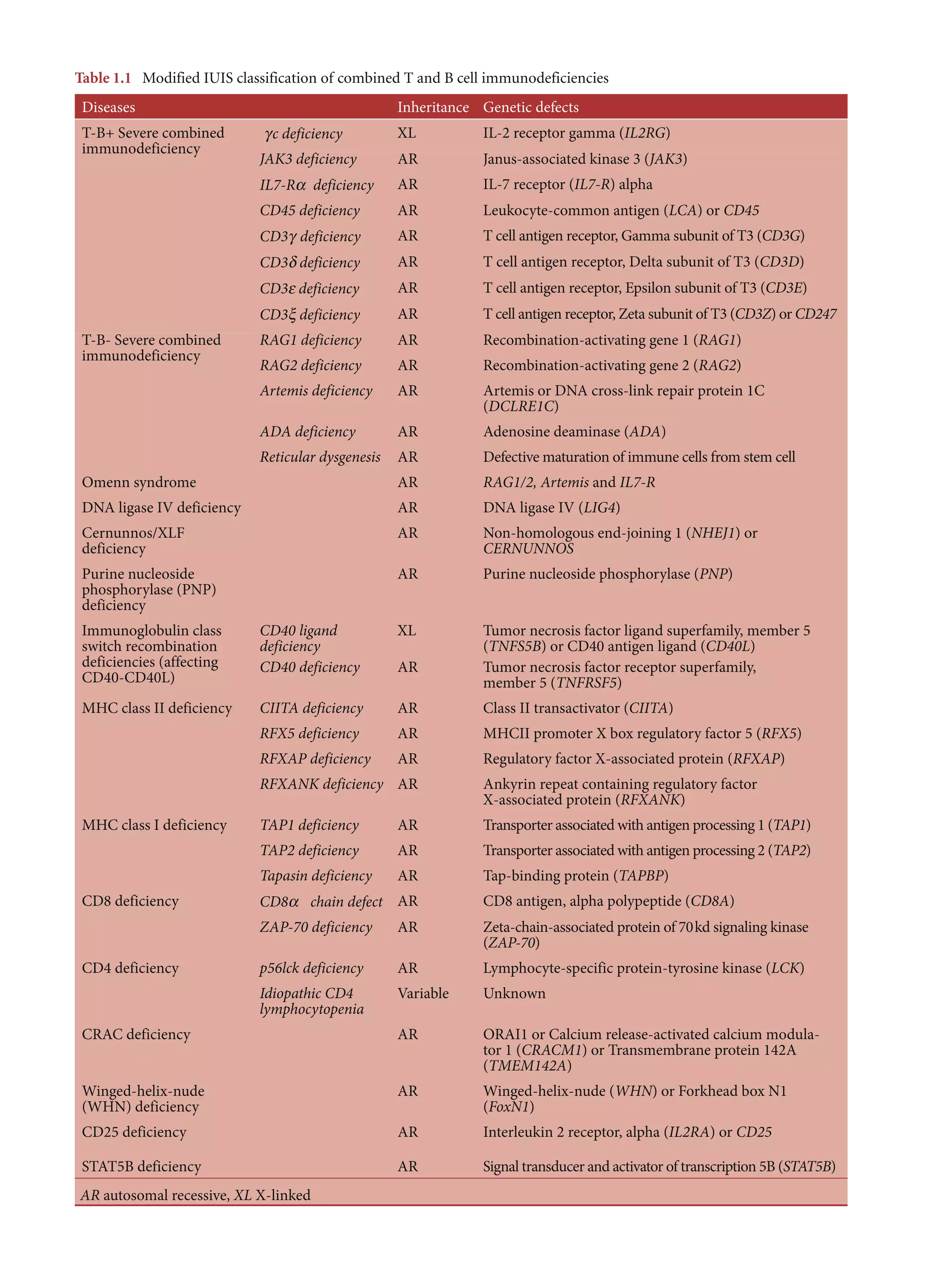 Primary Immunodeficiency Diseases | PDF
