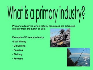 Primary Industry Farming | PPT