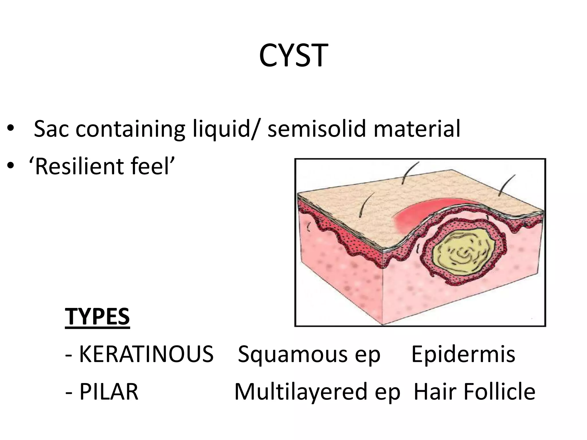 Primary Skin Lesions by Aseem | PPTX