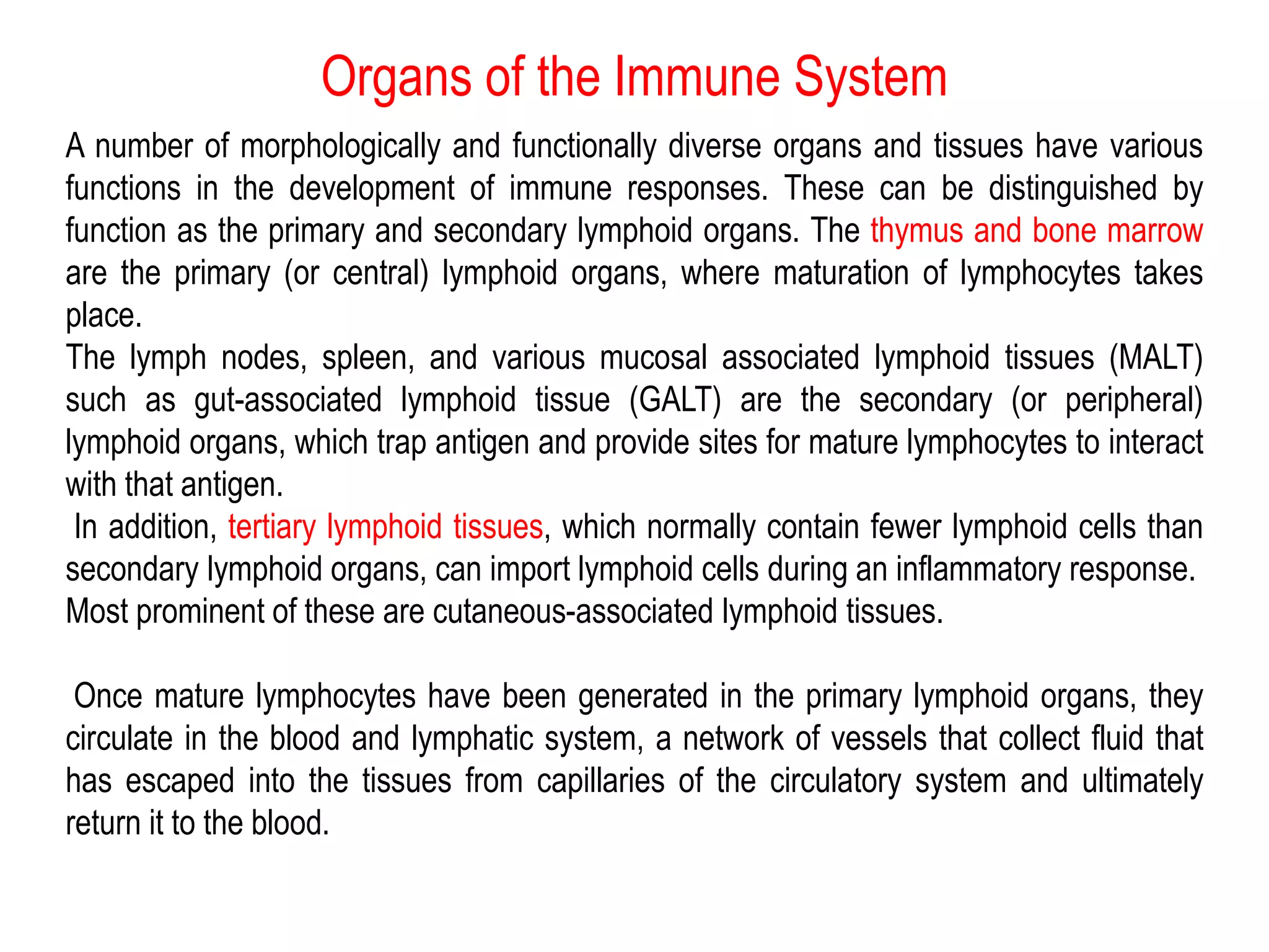 Primary Lymphoid organs. | PDF