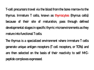 Primary Lymphoid organs. | PDF