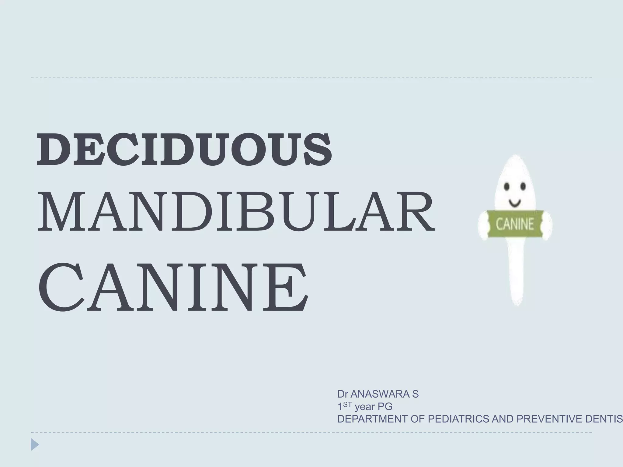 Primary mandibular canine | PPTX