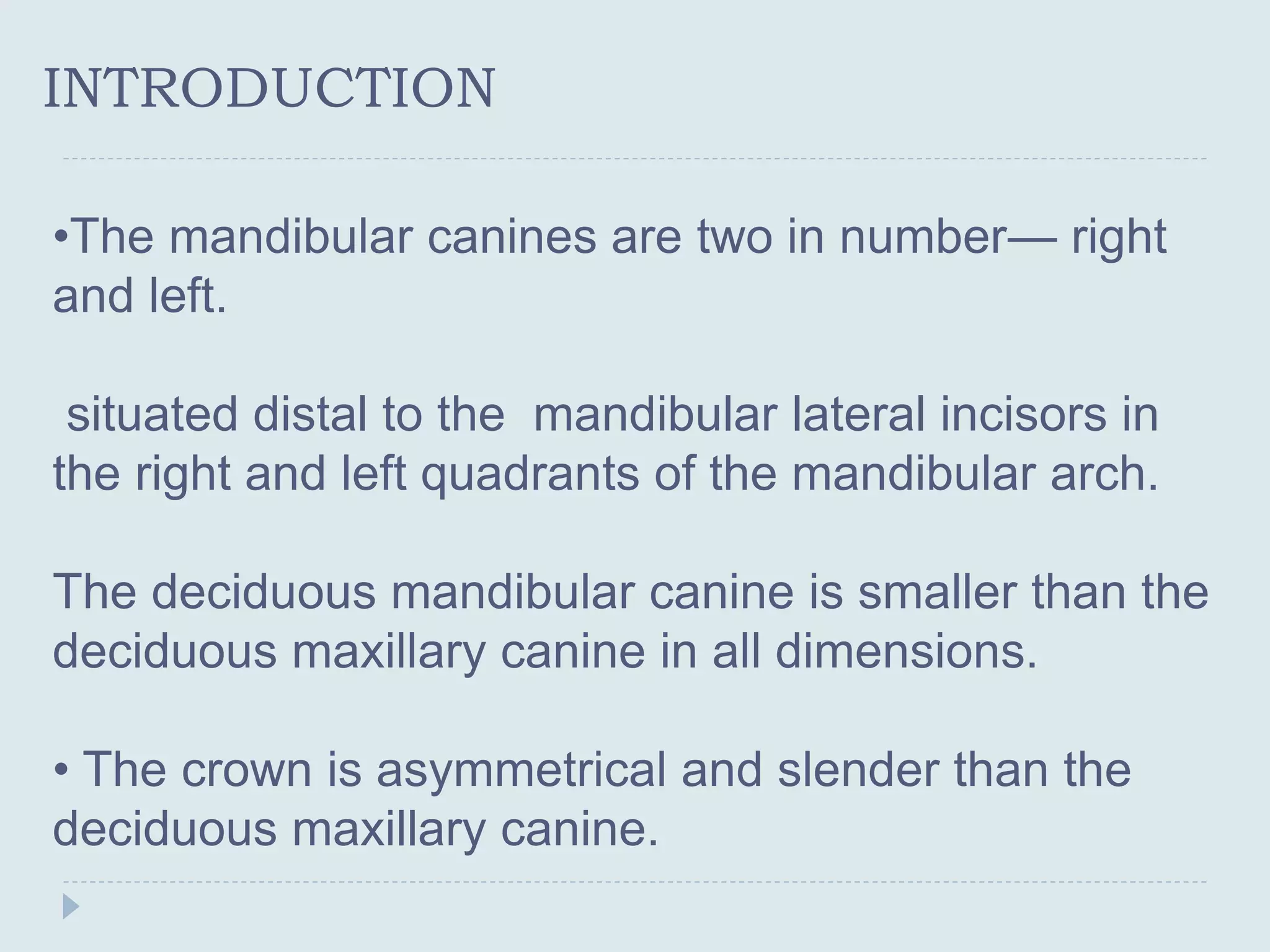 Primary mandibular canine | PPTX