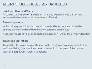 Primary mandibular canine | PPTX