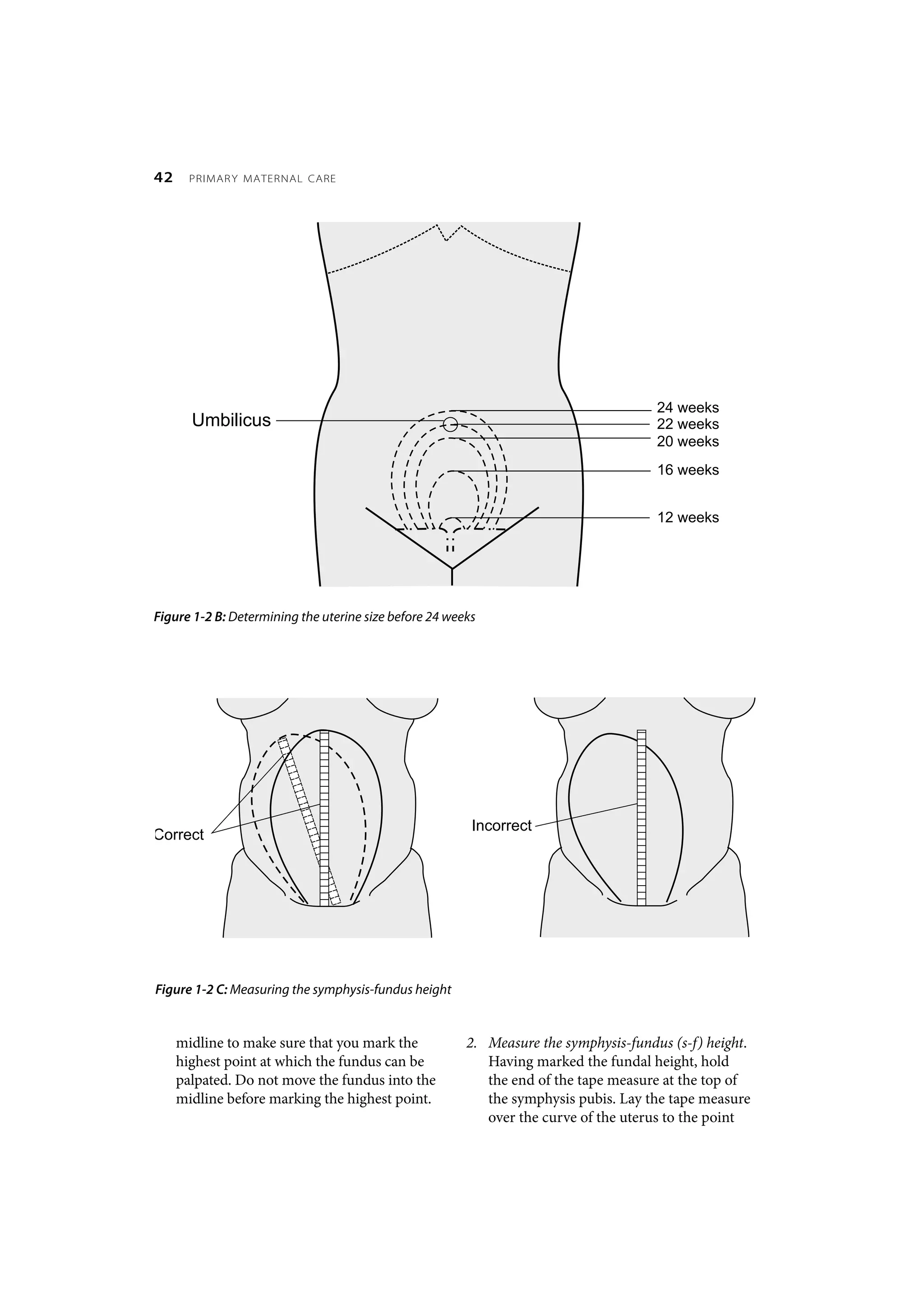 Primary Maternal Care: Skills workshop examination of the abdomen in ...