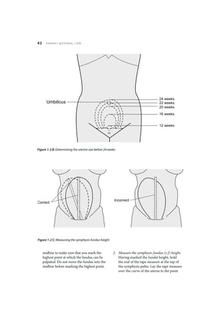 Primary Maternal Care: Skills workshop examination of the abdomen in ...
