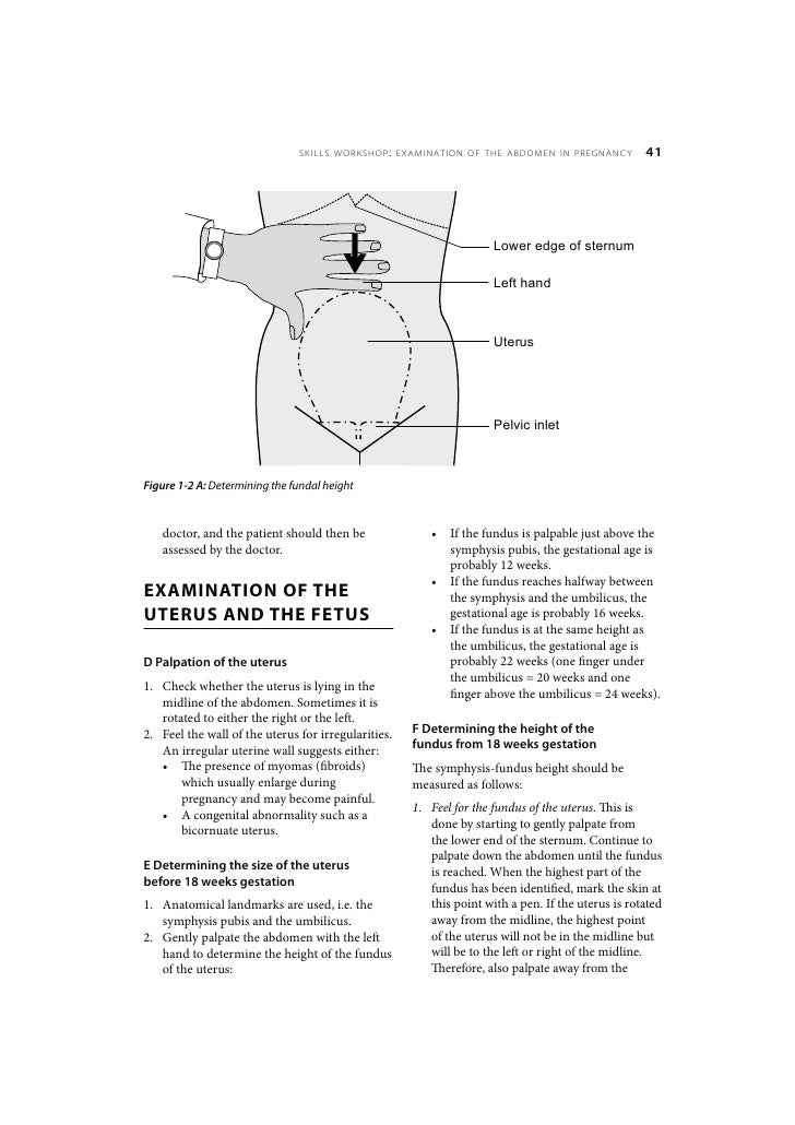 Primary Maternal Care: Skills workshop examination of the abdomen in