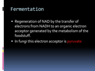 Primary metabolism of Fungi | PPT