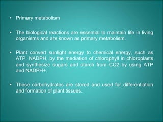 PRIMARY METABOLITES.ppt