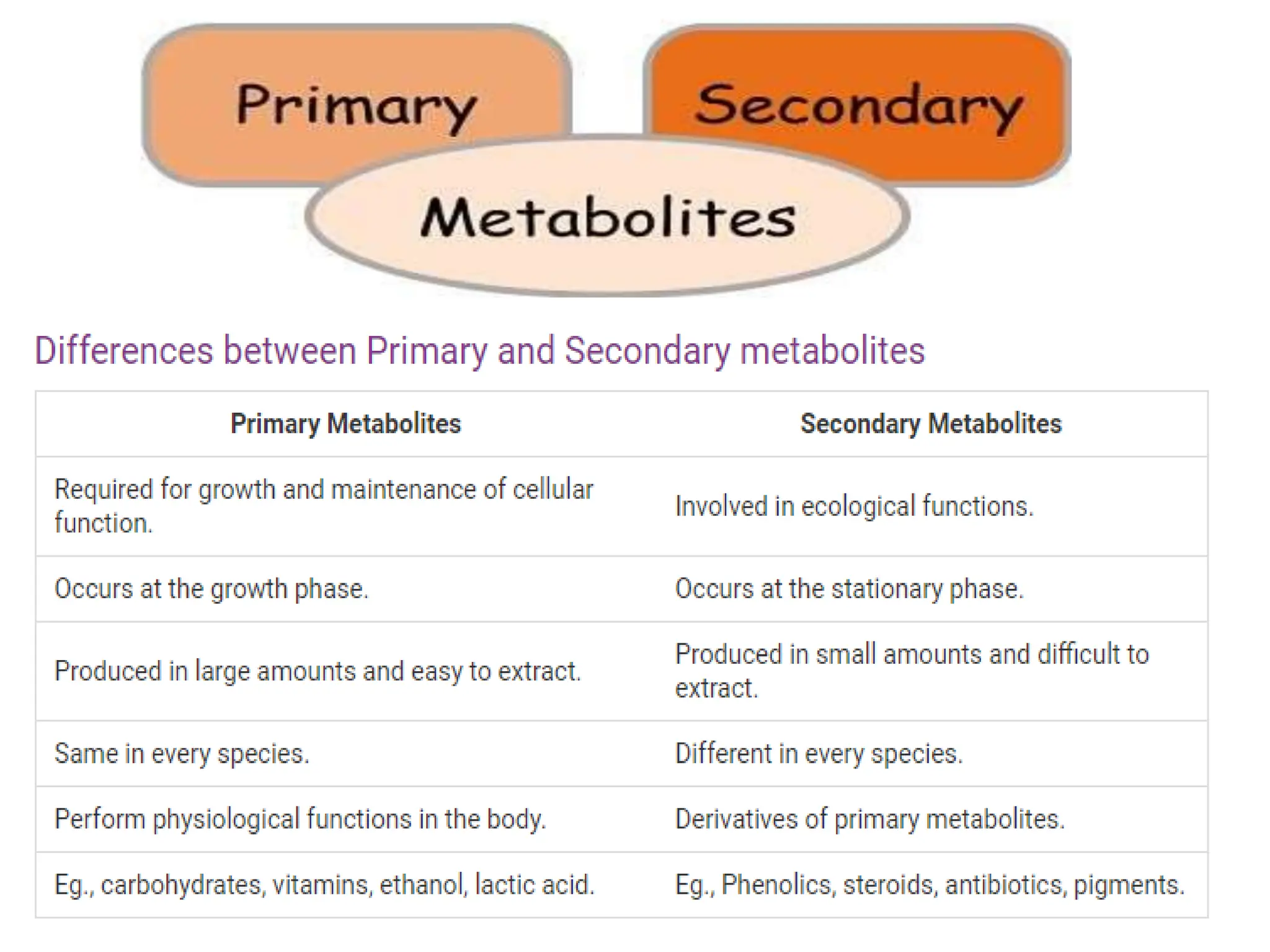 Primary Metabolites FROM THE PLANT AND ANIMALS.pptx