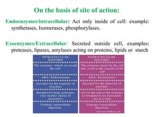 Primary Metabolites FROM THE PLANT AND ANIMALS.pptx
