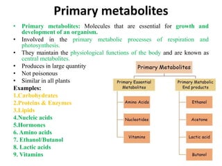Primary Metabolites FROM THE PLANT AND ANIMALS.pptx