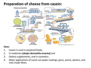 Primary Metabolites PHARMACOGNOSY-I.pptx