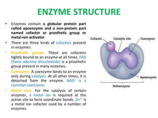 Primary Metabolites PHARMACOGNOSY-I.pptx
