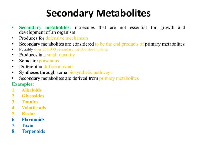 Primary Metabolites PHARMACOGNOSY-I.pptx