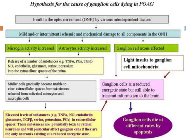 Primary open angle glaucoma(POAG) | PPTX
